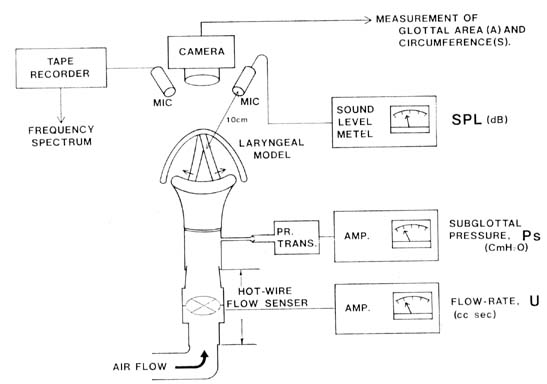 Functional Surgery of the Larynx/fig 53
